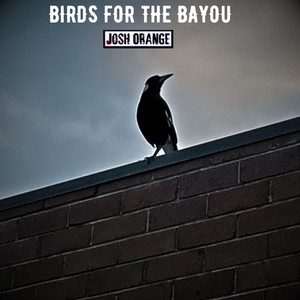 Josh Orange Releases "Birds For the Bayou" About the Power of Music ...
